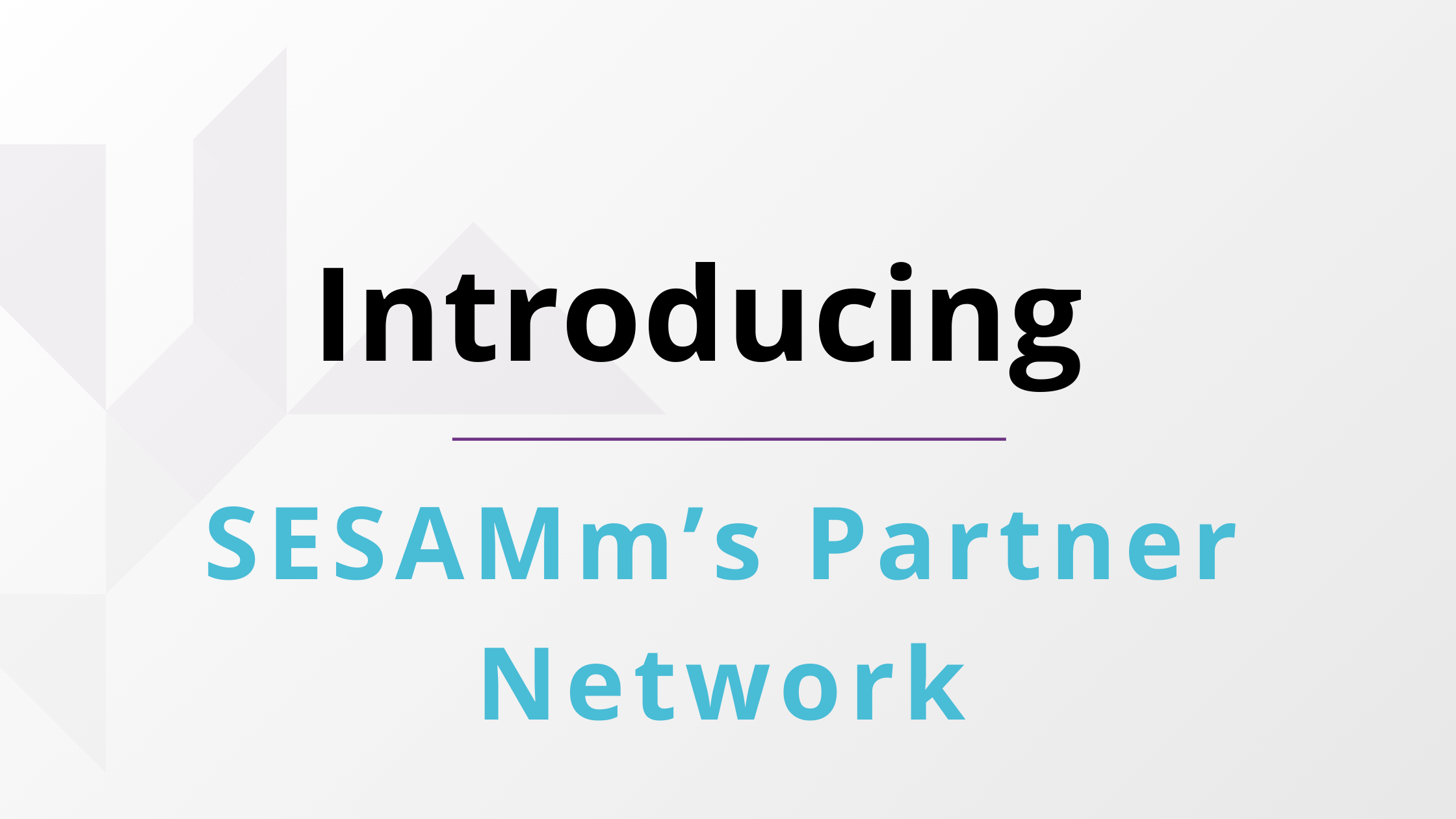 Introducing SESAMm’s Partner Network