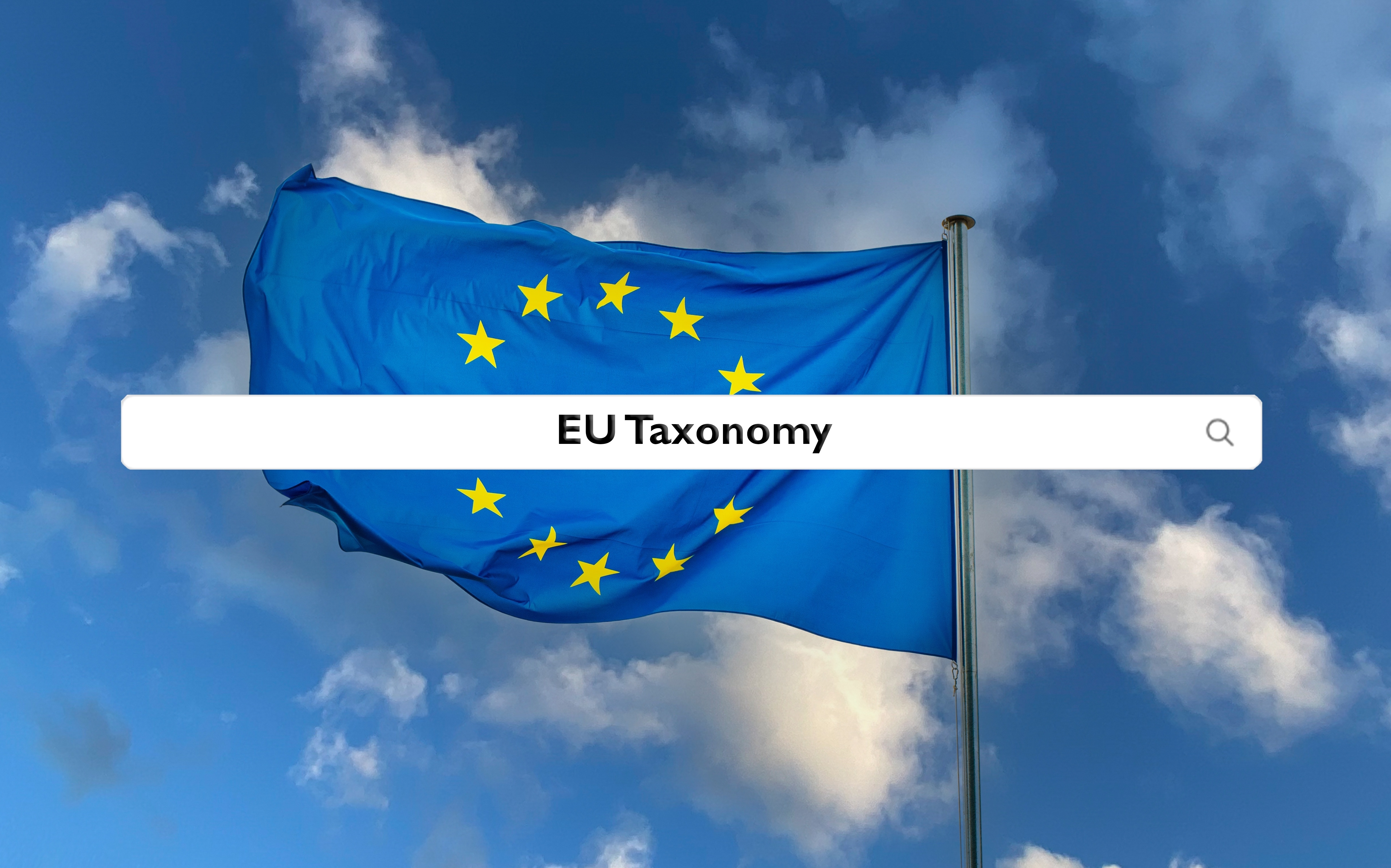 A Comprehensive Guide into the EU Taxonomy
